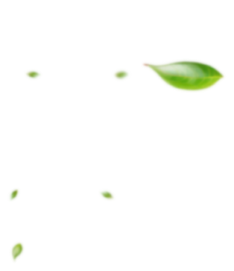 Iconic Regency - Iconic Development