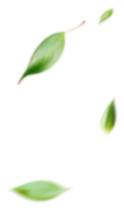 Iconic Group - Trendsetting Developer